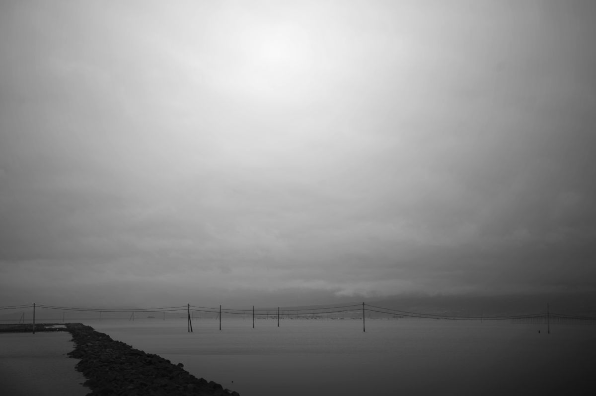 From start to goal... | GANREF