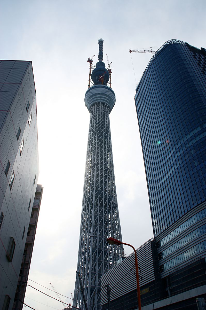 Look up to... | GANREF