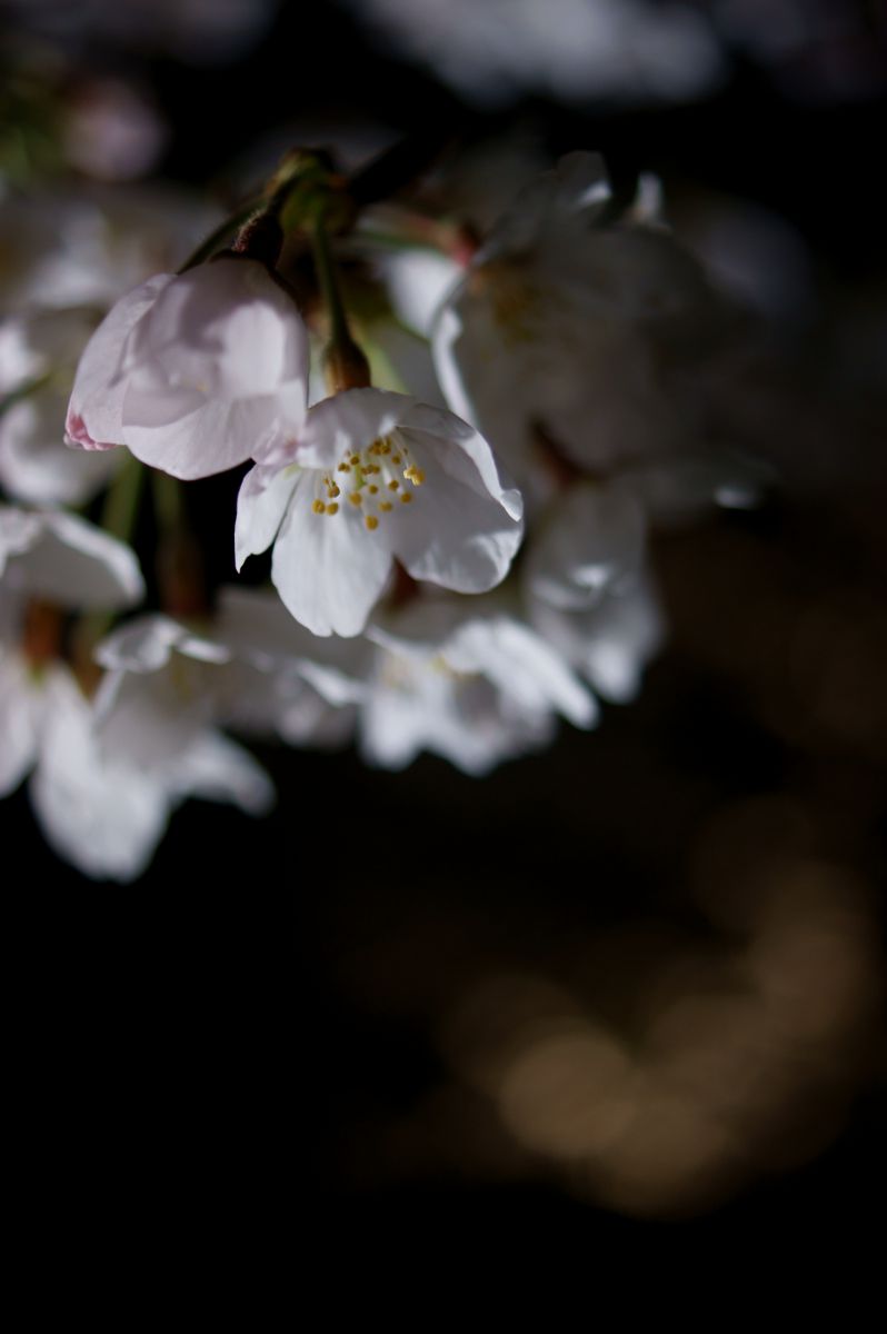 Coming into broom....at night. | GANREF