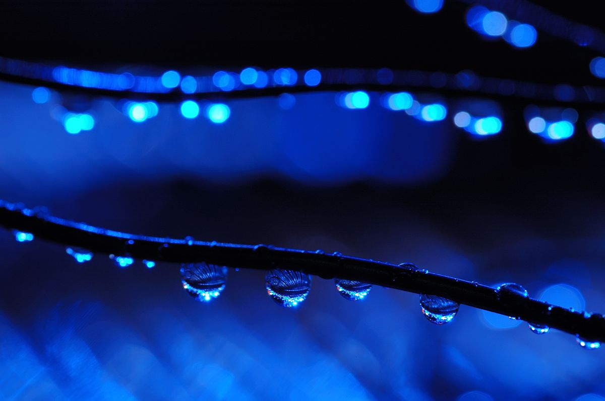 Blue Rain | GANREF