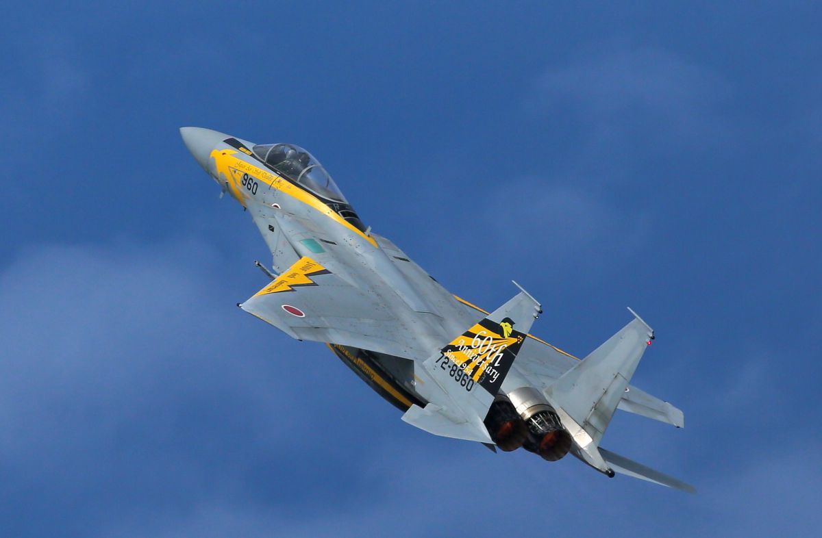 F15J 自衛隊創設60周年記念塗装 | GANREF