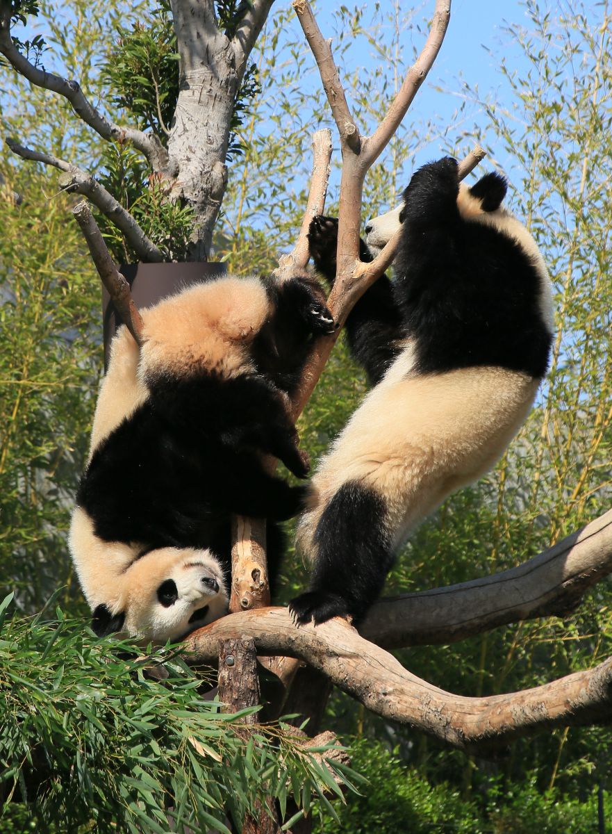 Up side down | GANREF