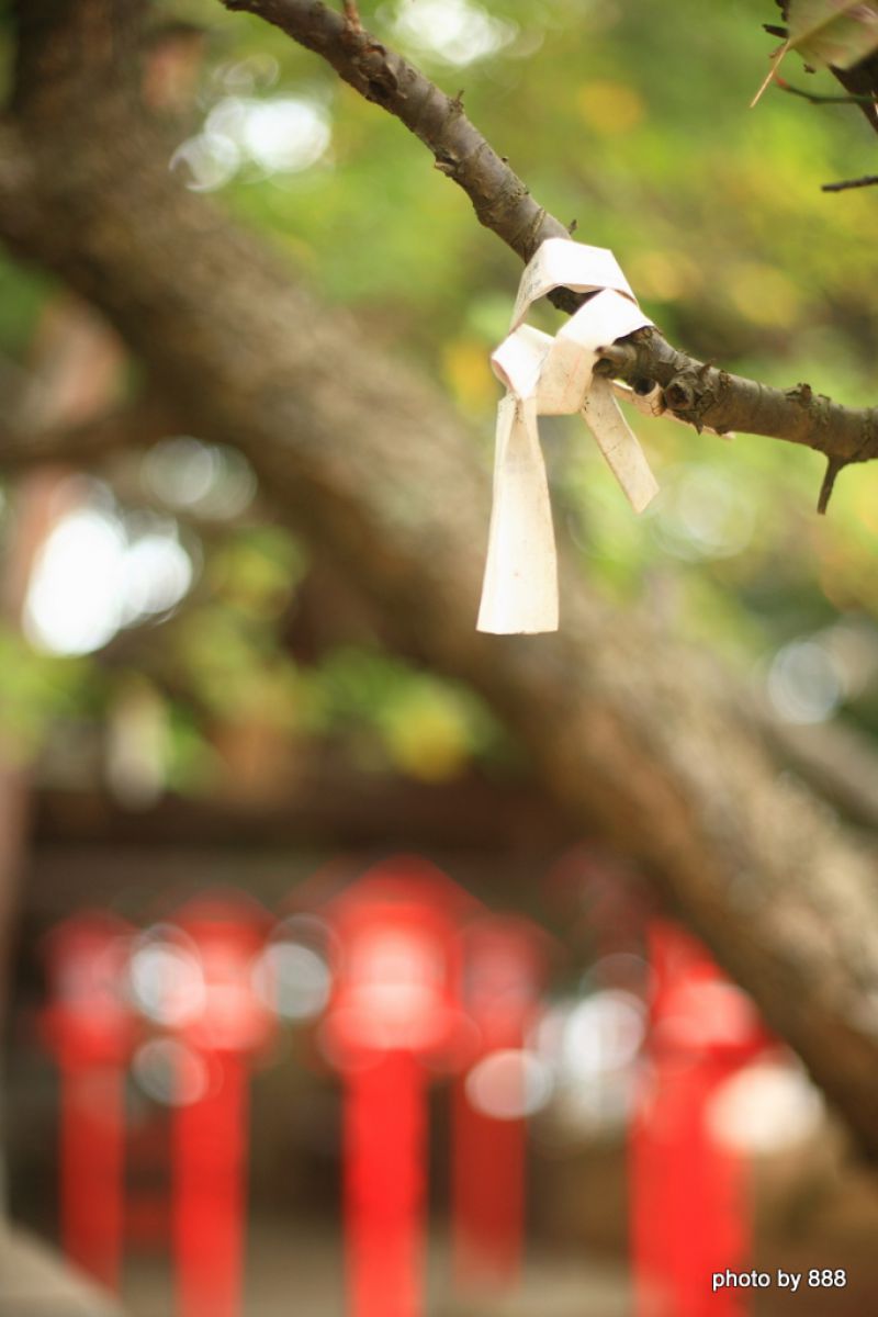 おみくじ | GANREF