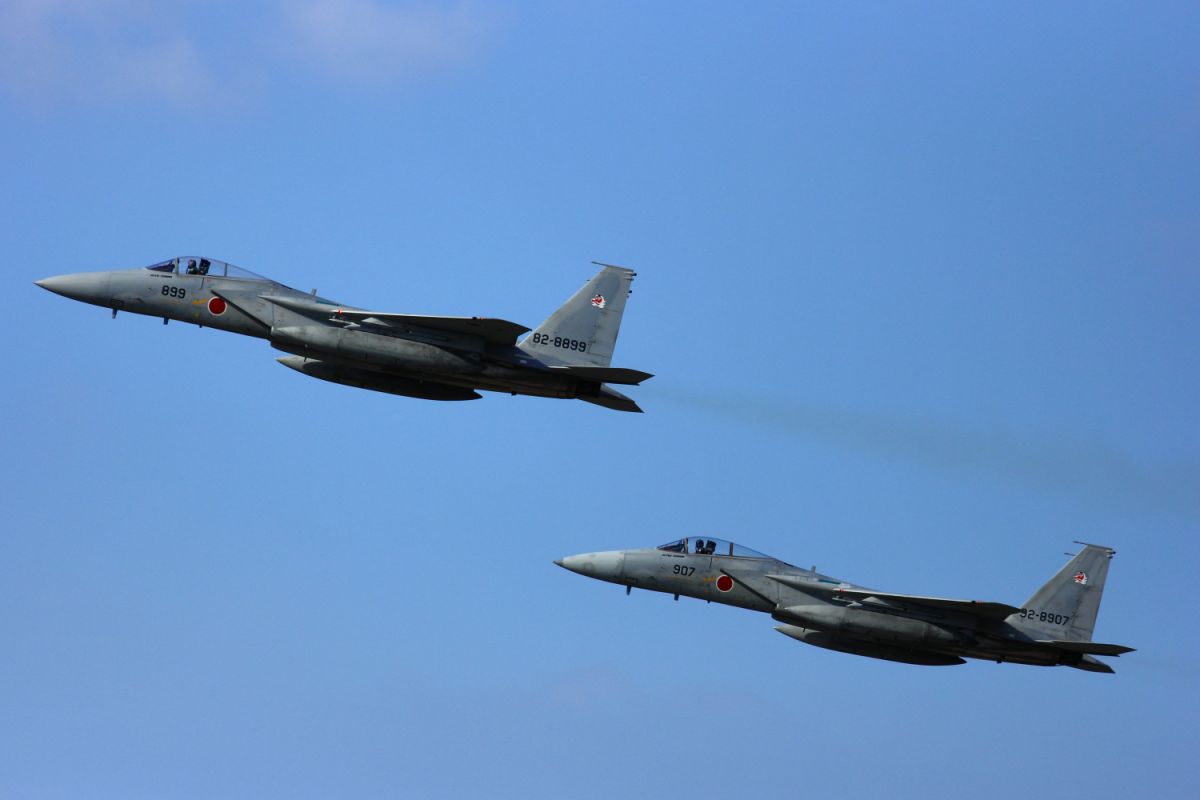 Takeoff of two eagles!! | GANREF