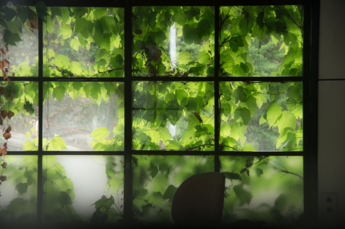 By the window | GANREF