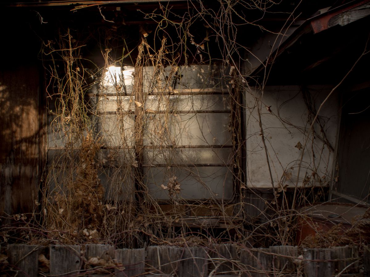 By the window | GANREF