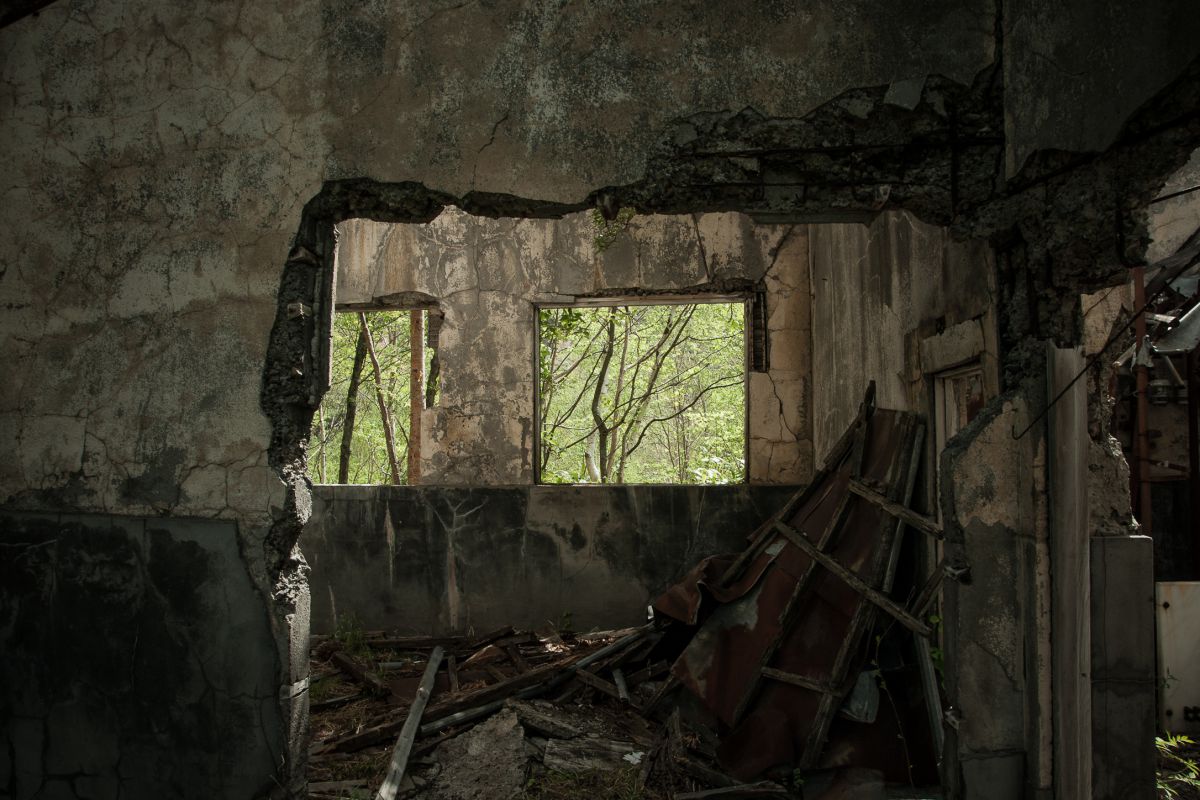 By the window（緑の窓辺） | GANREF