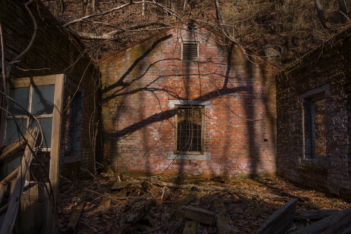 Forest Hotels | GANREF