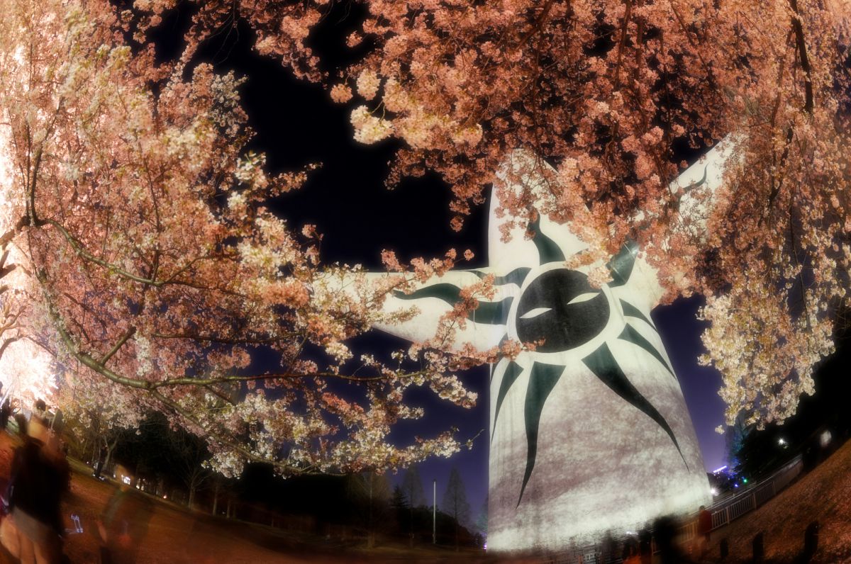 SAKURA & TARO | GANREF