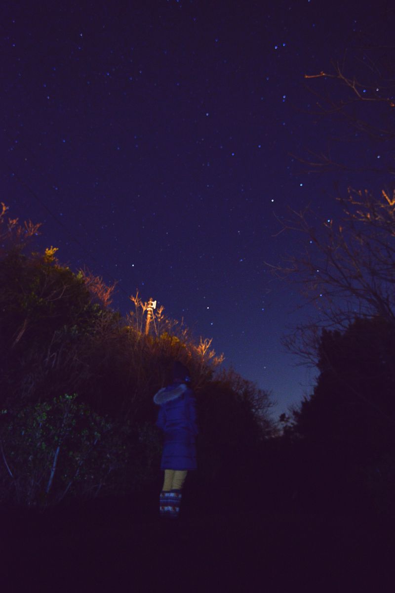 the distance to the starlit sky | GANREF