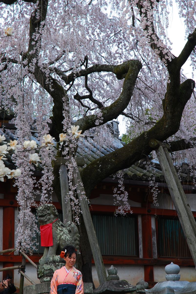 Graduation！！ | GANREF