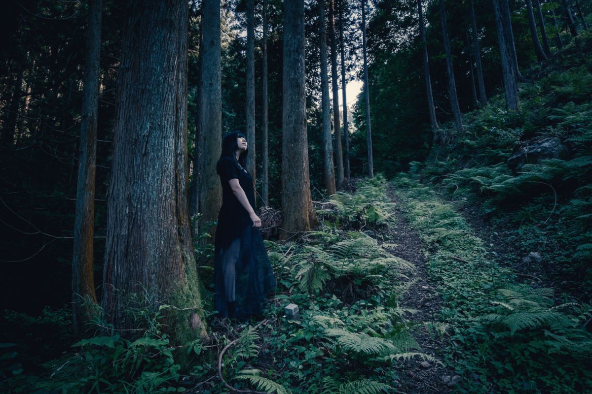 Deep forest | GANREF