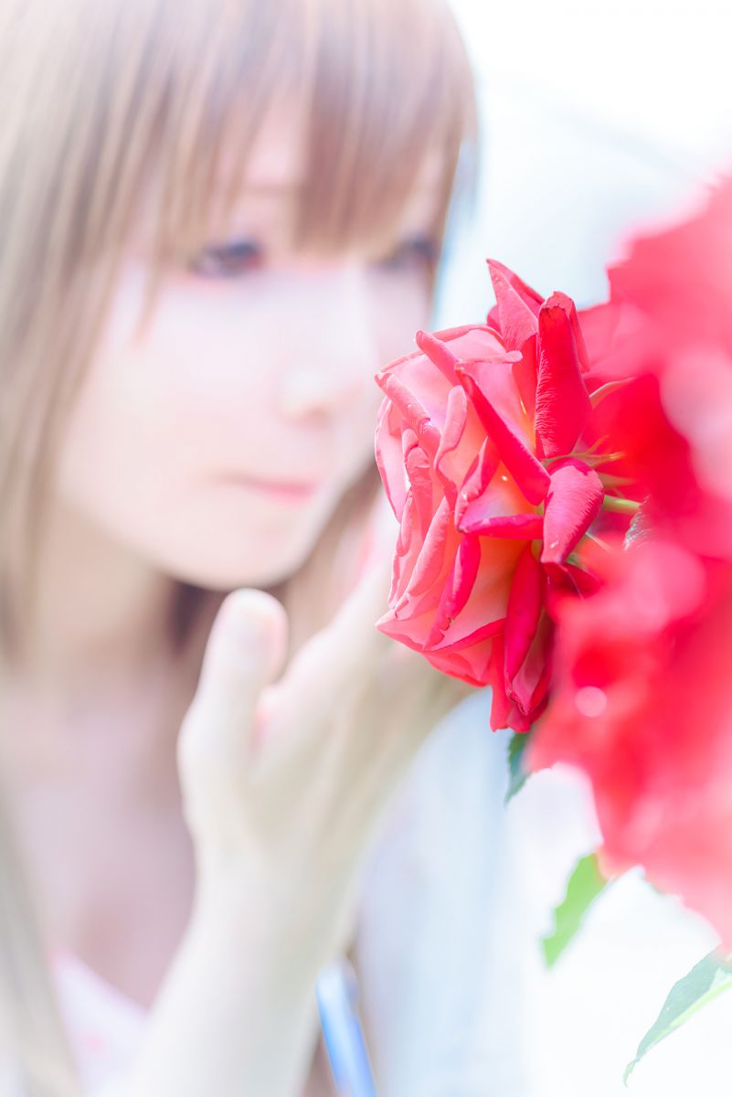 薔薇の誘惑 | GANREF