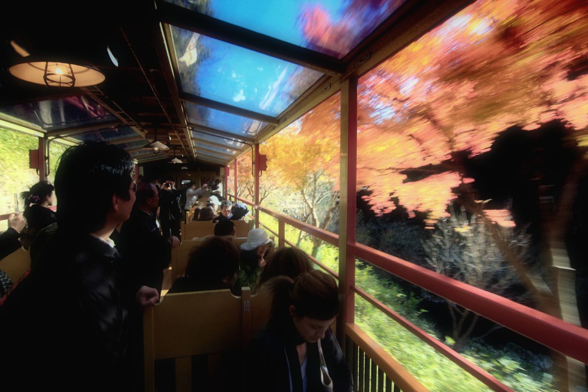 紅葉 Last・Run | GANREF