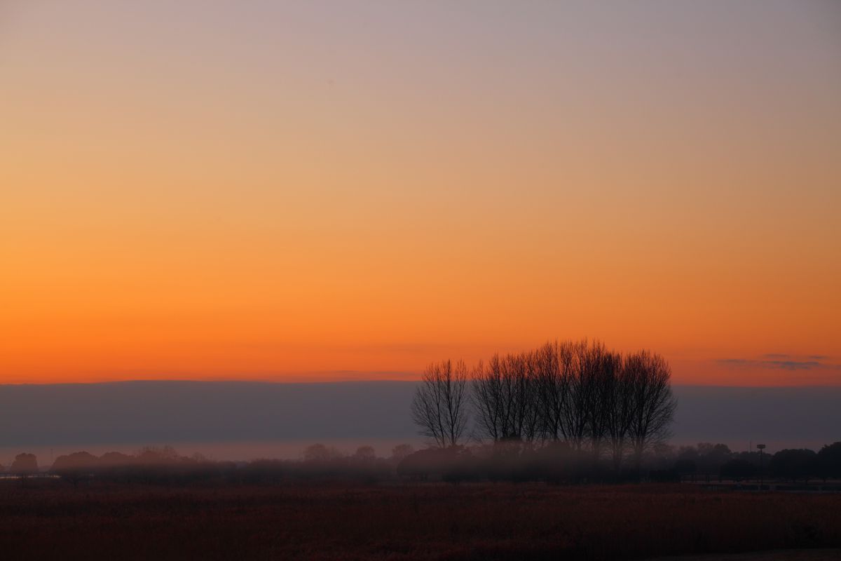 Before dawn | GANREF