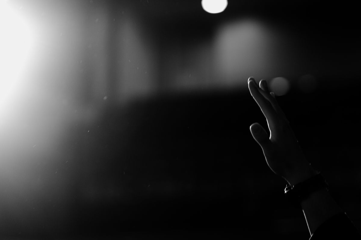 put your hands up! | GANREF