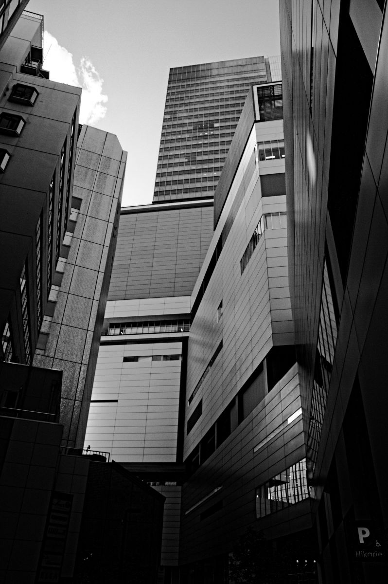 渋谷の逆襲 | GANREF