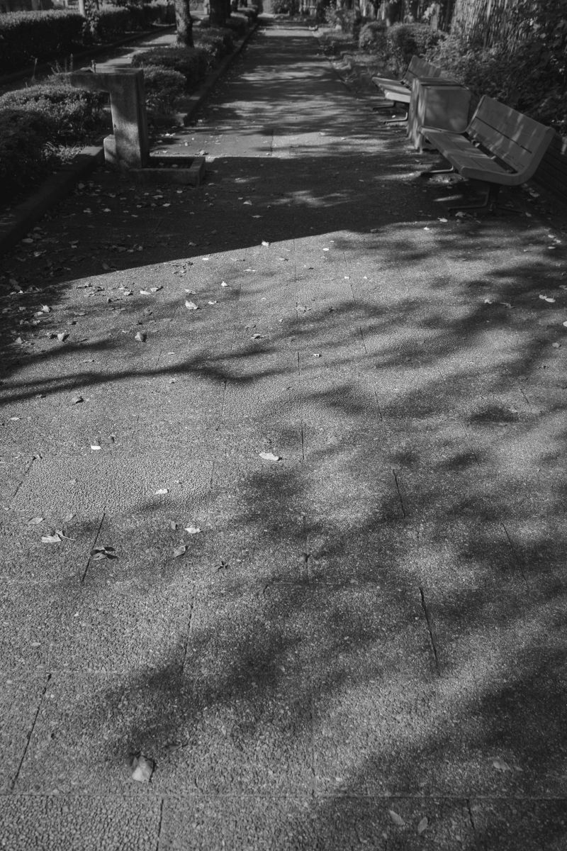 秋の気配（BW ver) | GANREF