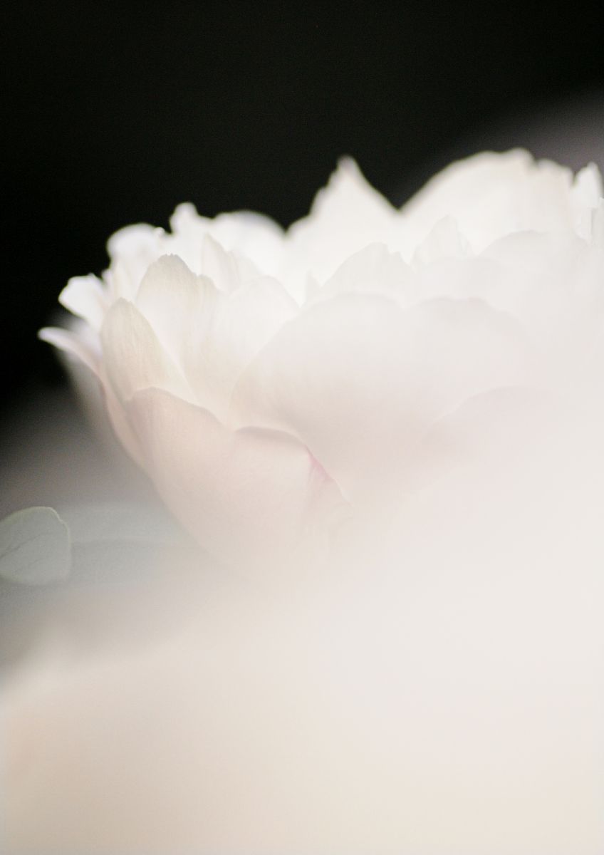 Black & white | GANREF