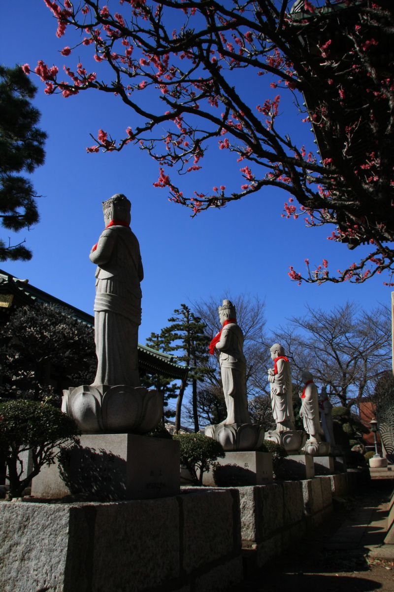 春の長命寺 | GANREF