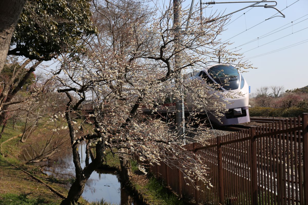 スーパーひたち(E657系電車) | GANREF