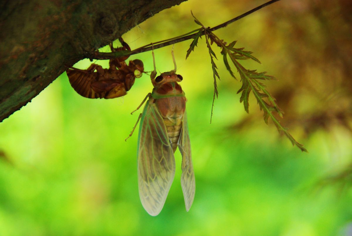 Before&After | GANREF