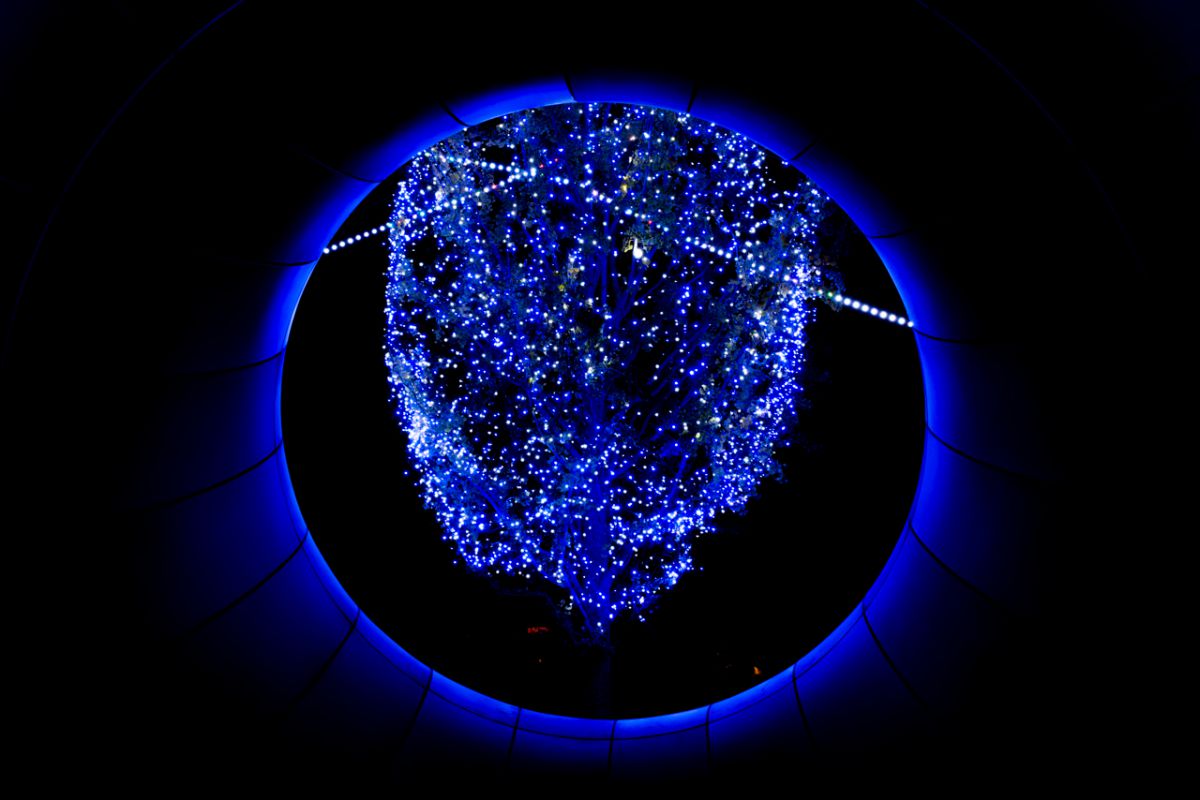 circle illuminations | GANREF