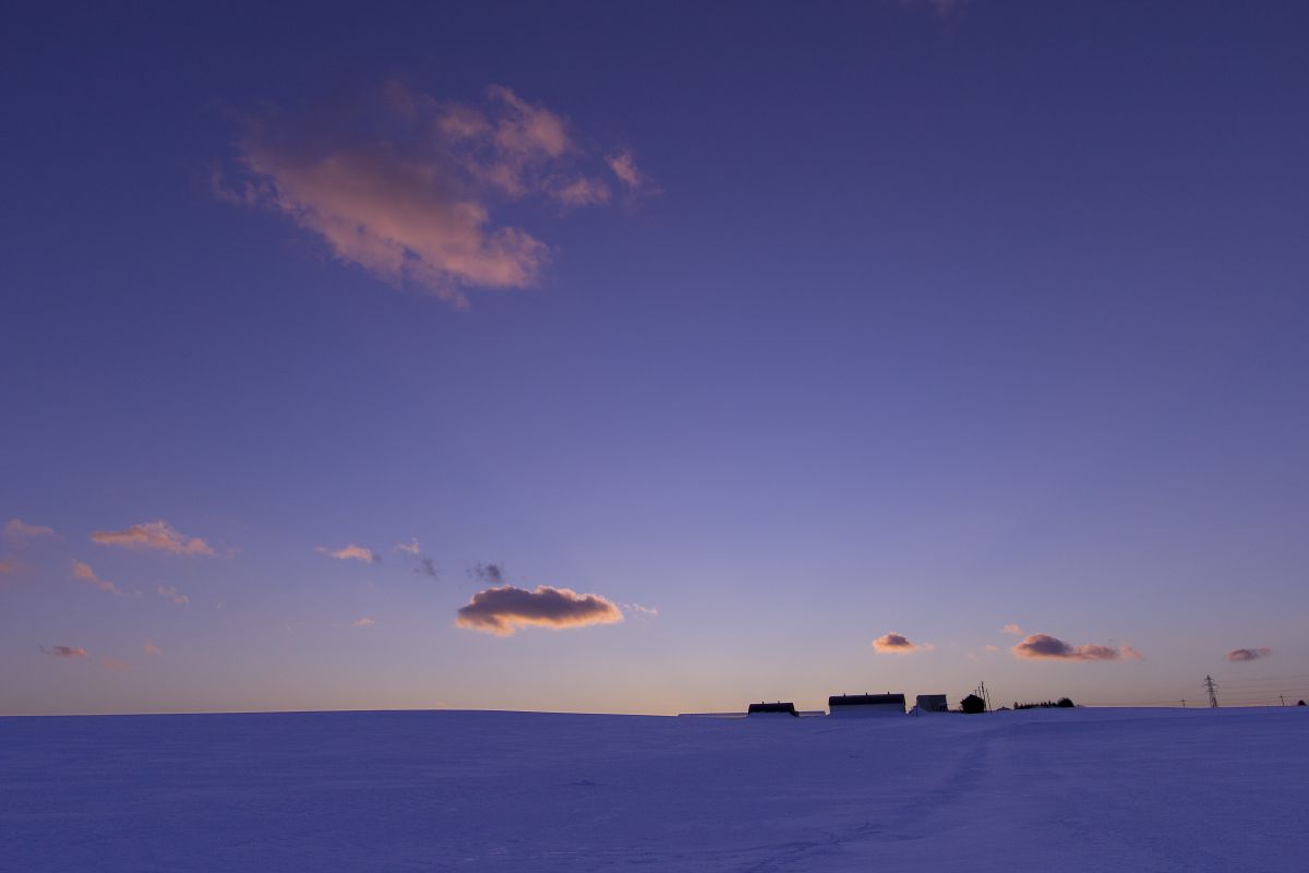 また明日 | GANREF