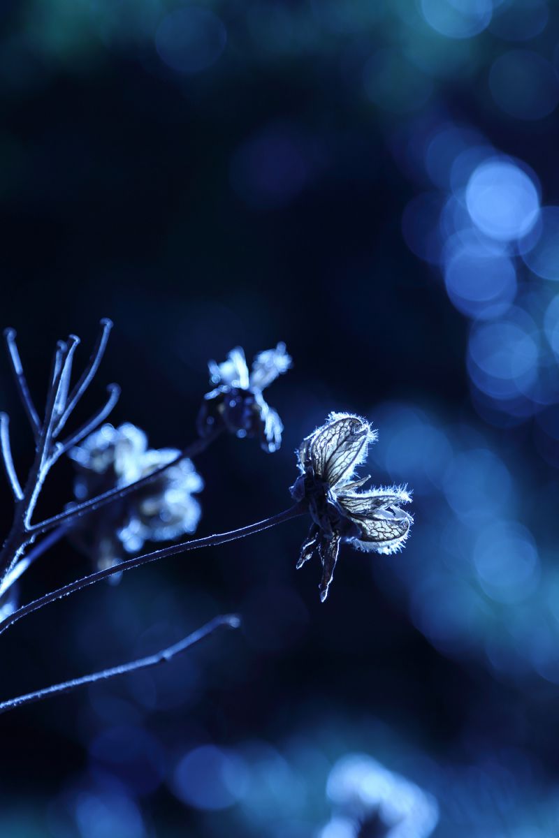 Deep breath | GANREF