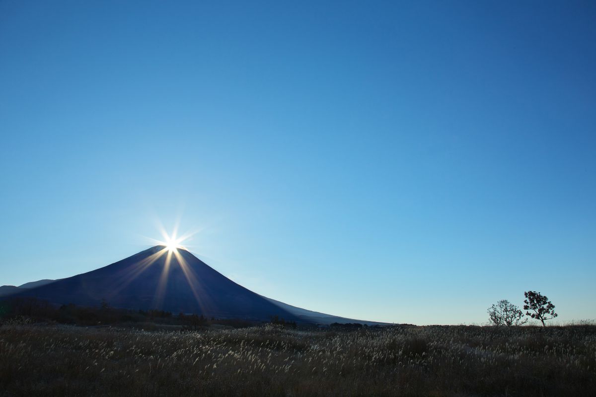 Bright futuer | GANREF