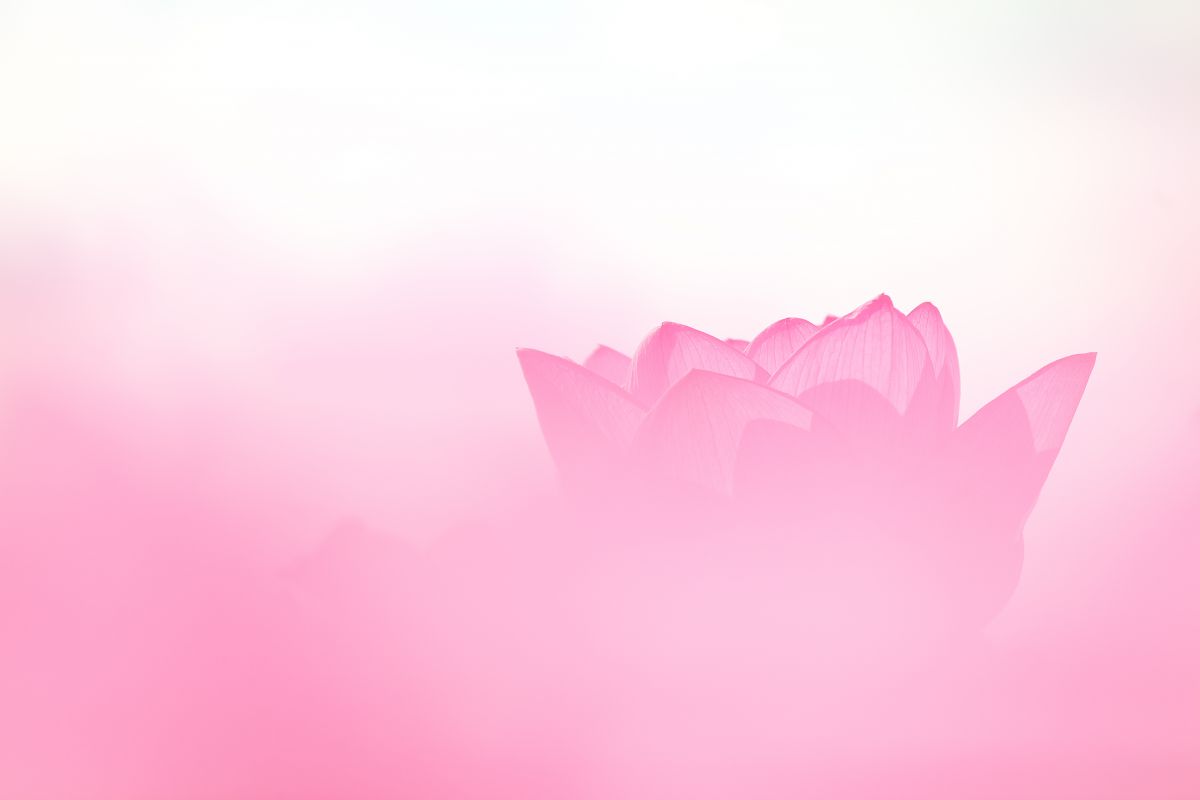 Brand new day | GANREF