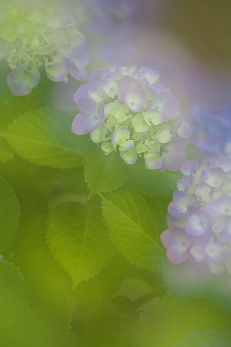 Won't be long | GANREF