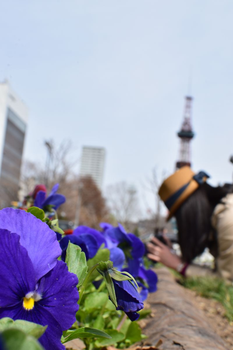 春を見つけた | GANREF