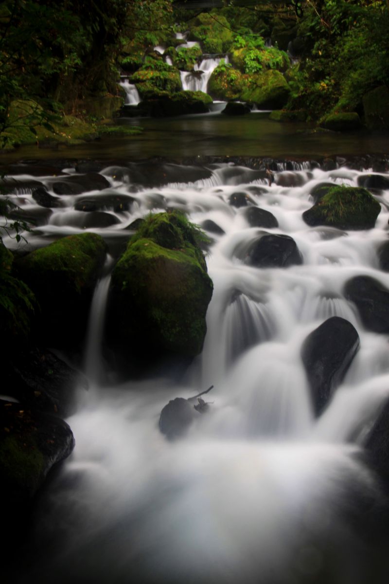 小滝から中滝へと | GANREF