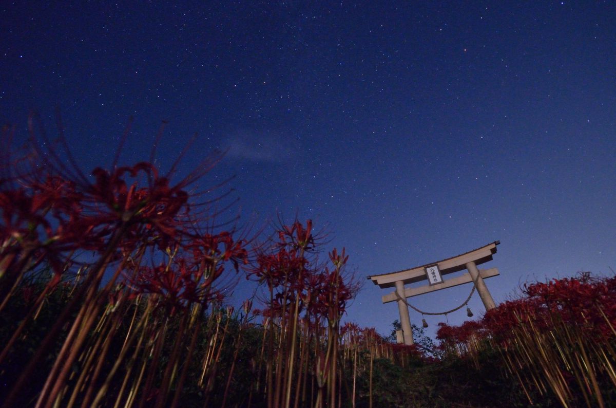 天空へと続く道 | GANREF
