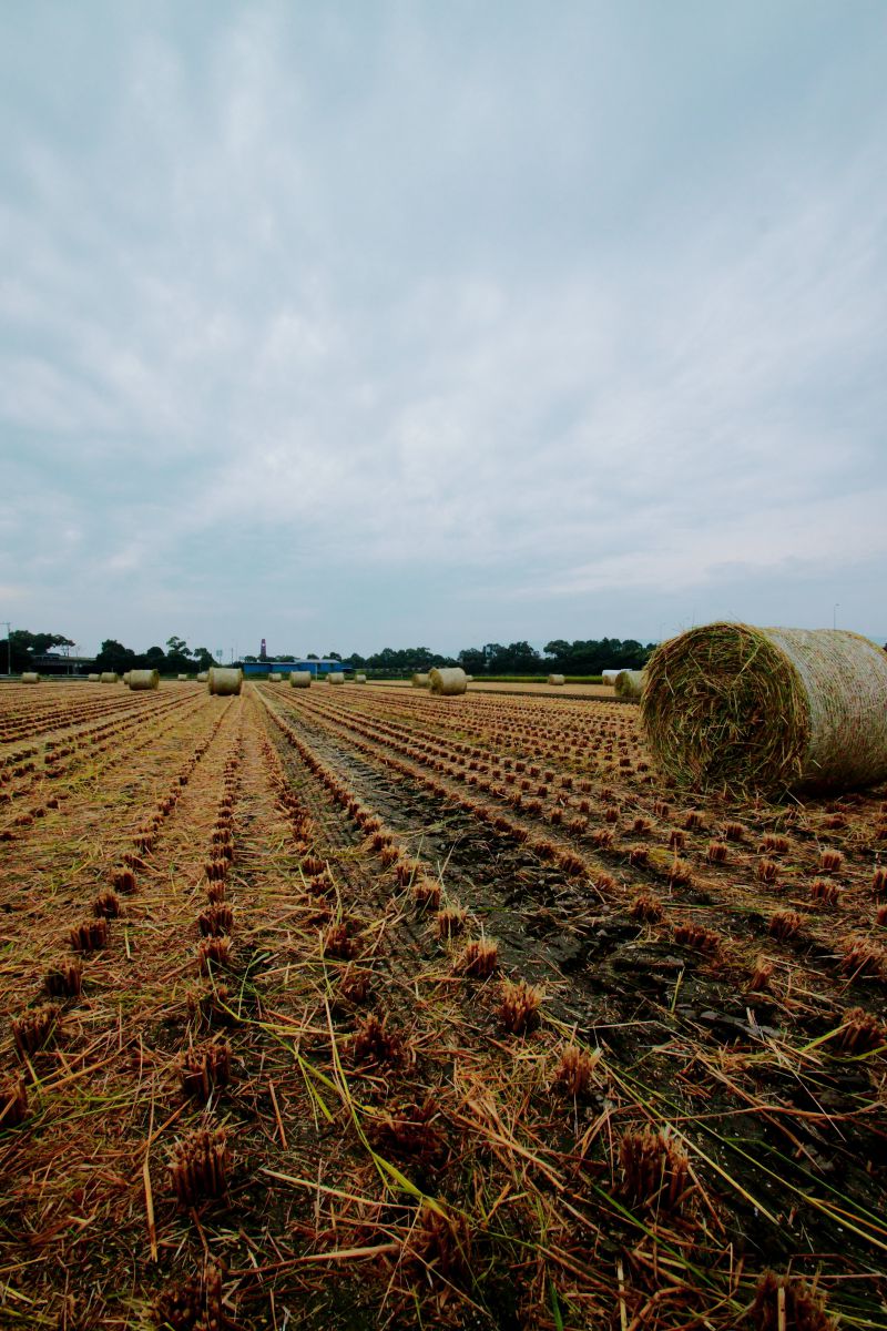 ごろごろ・・ | GANREF