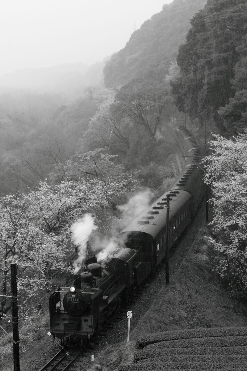 昭和の汽笛 | GANREF