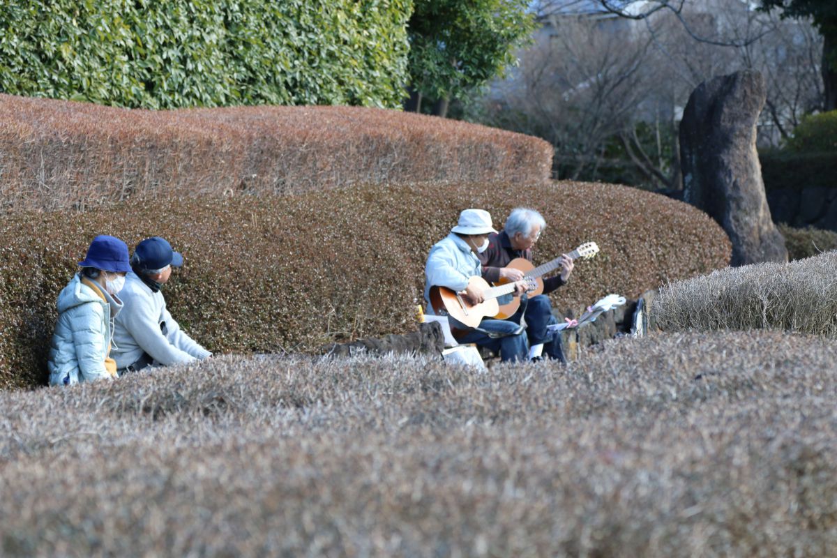 アリーナ席最前列 | GANREF