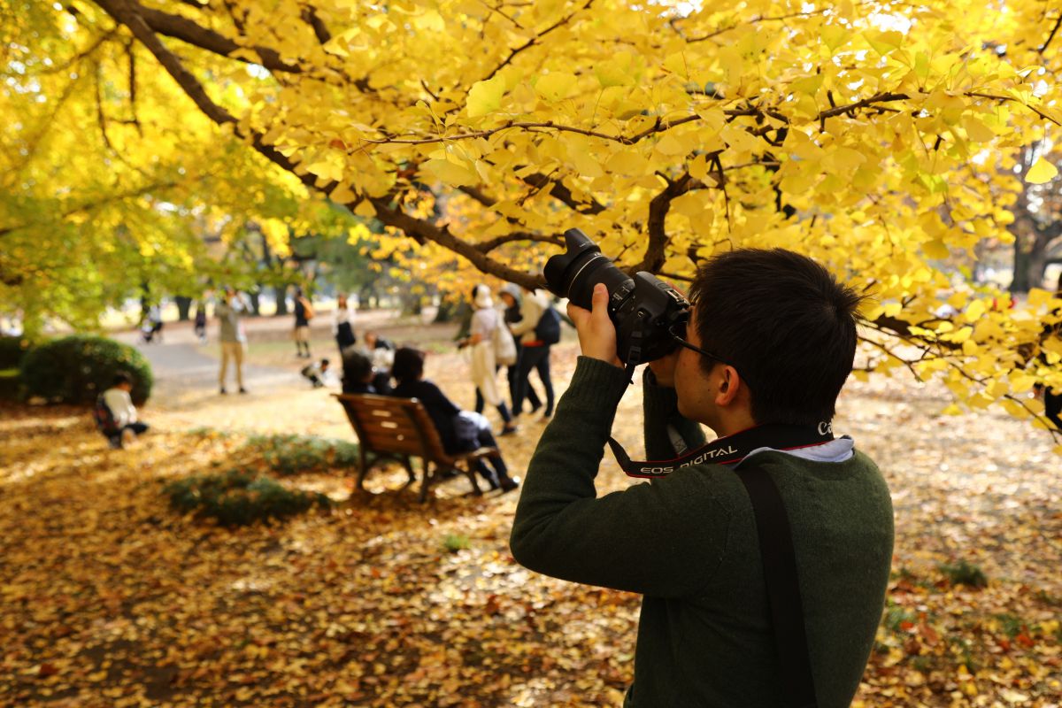 イチョウ ni ムチュウ－愚息 | GANREF