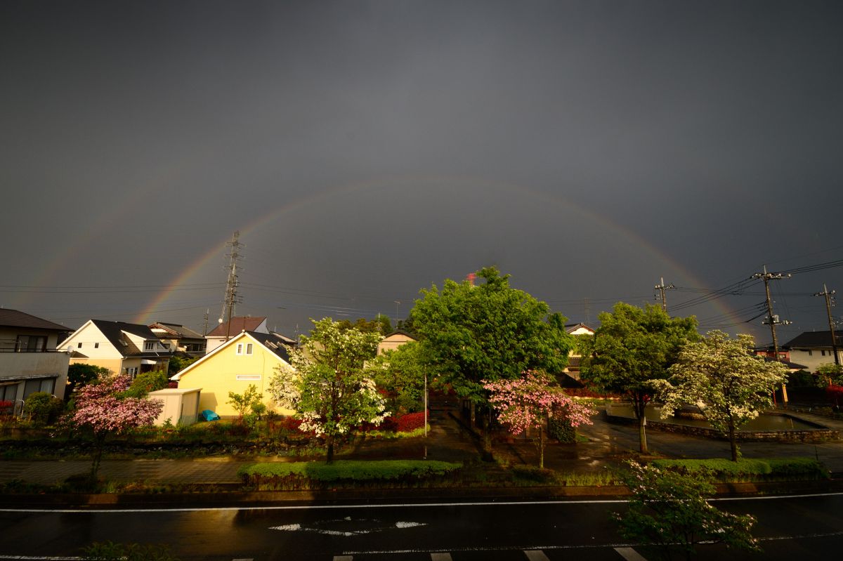 Double Rainbow | GANREF