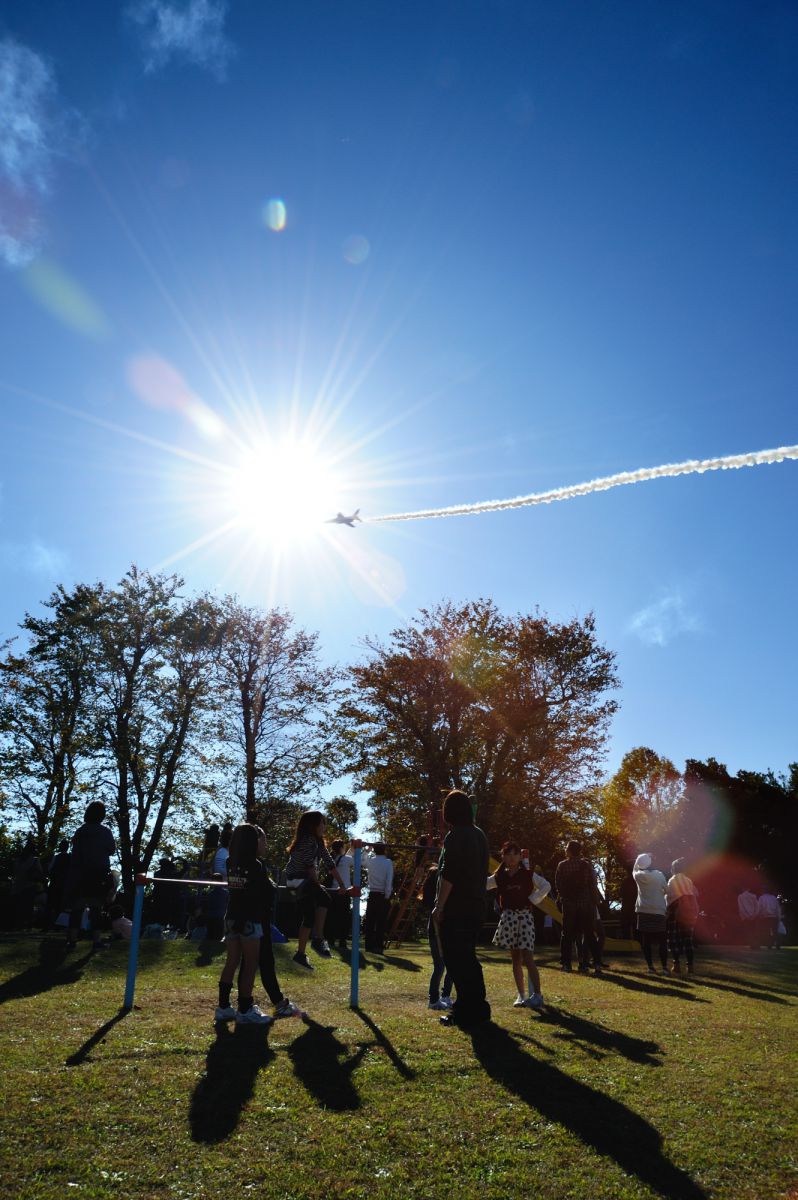 BLUE IMPULSE | GANREF