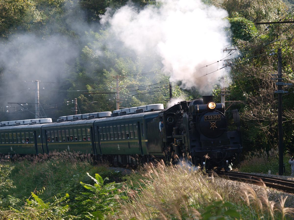 秩父SL 下り | GANREF