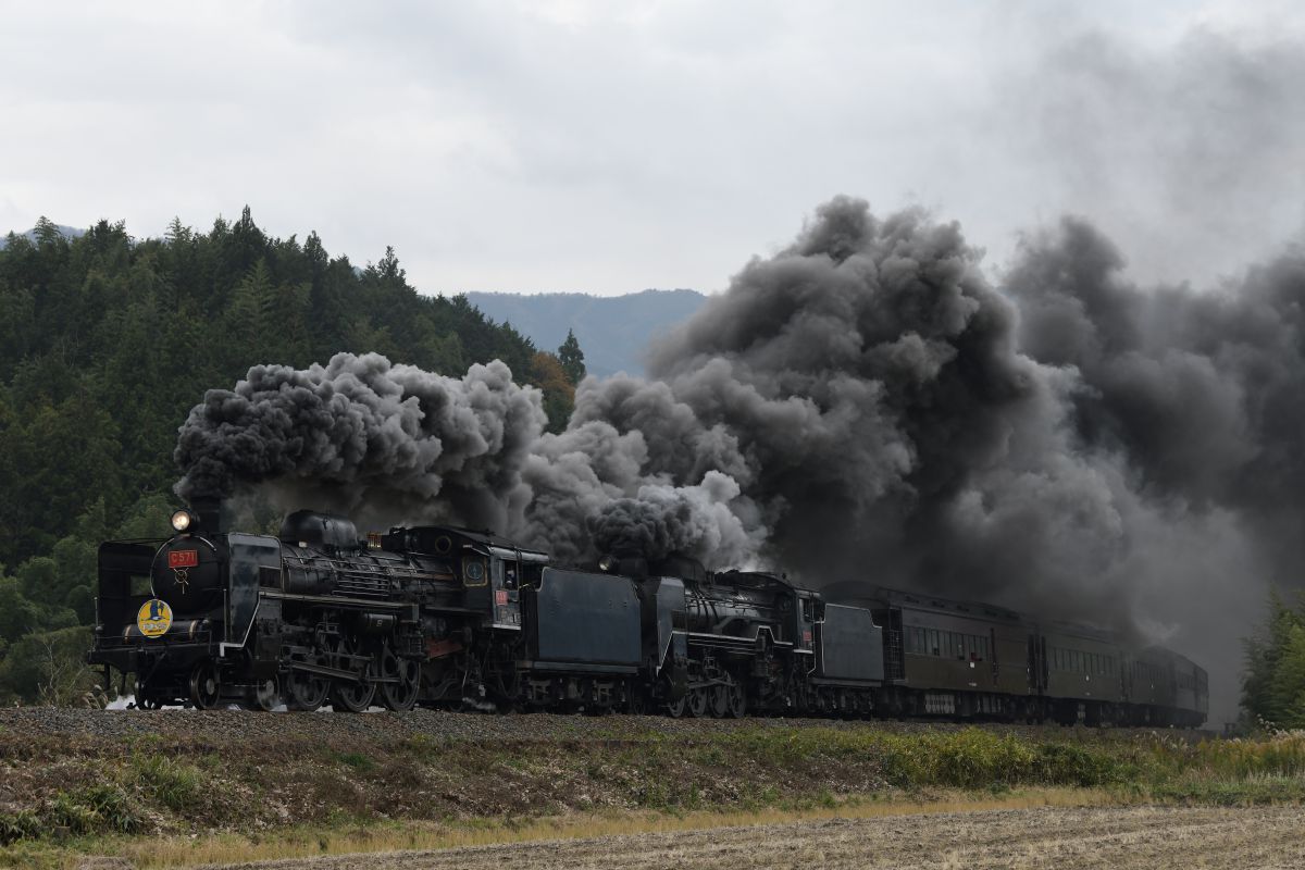 C57 1＋D51 200 | GANREF