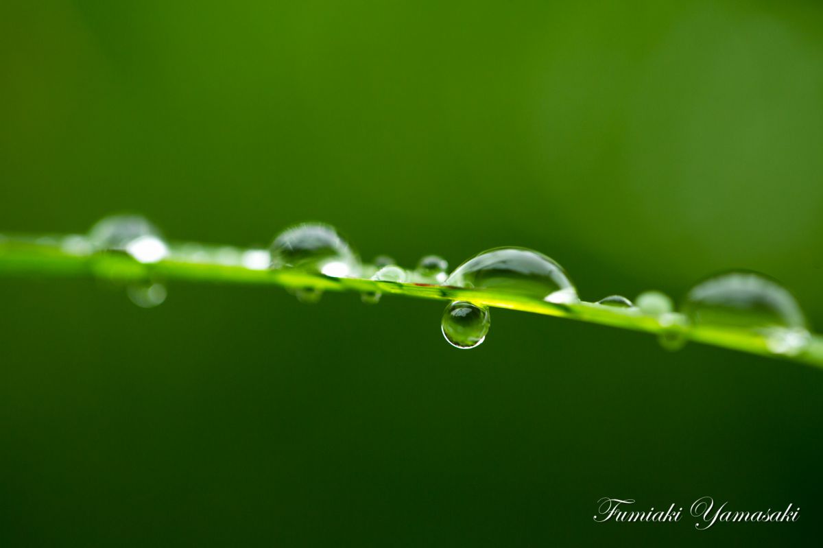 Water droplet | GANREF
