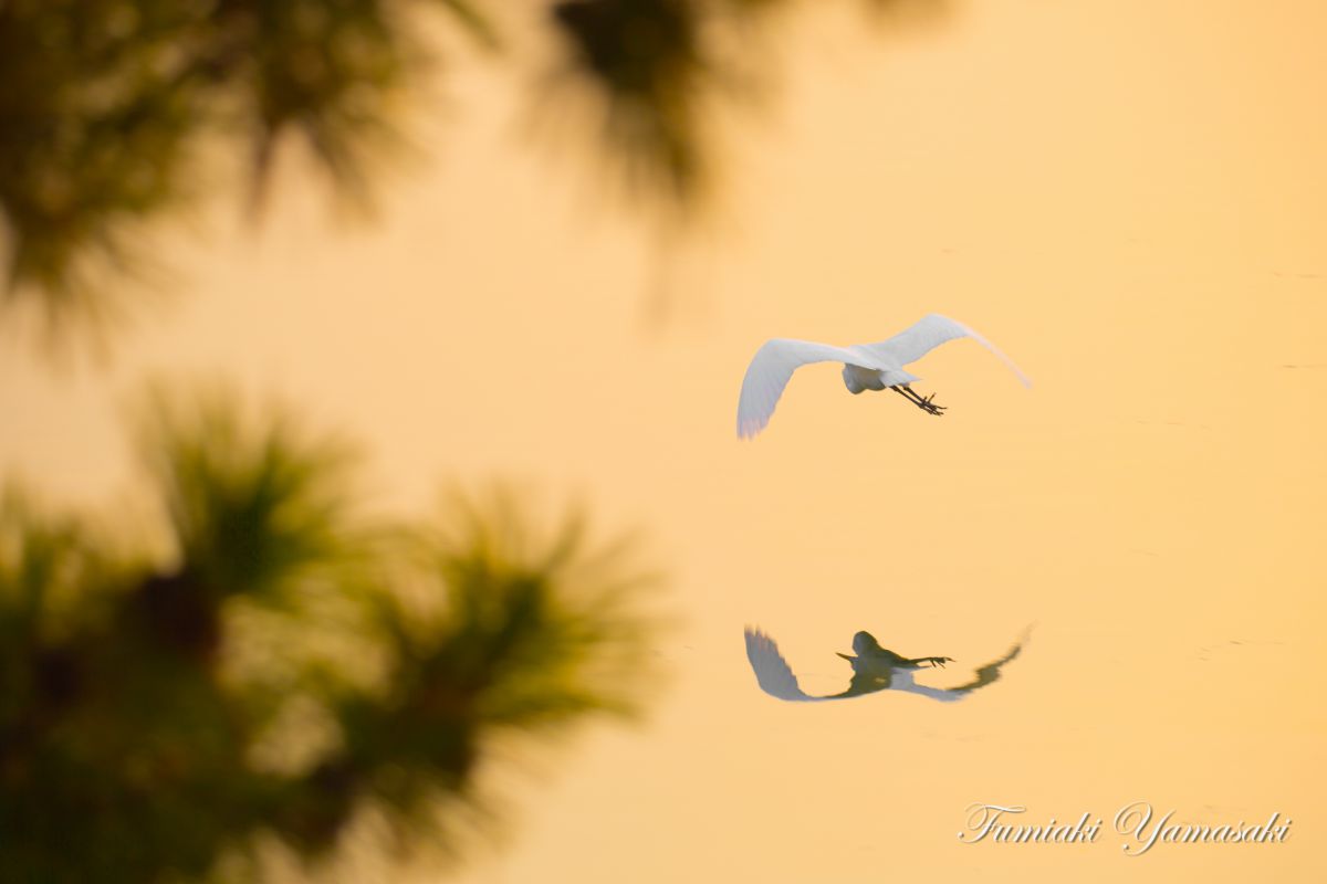 Golden age2 | GANREF