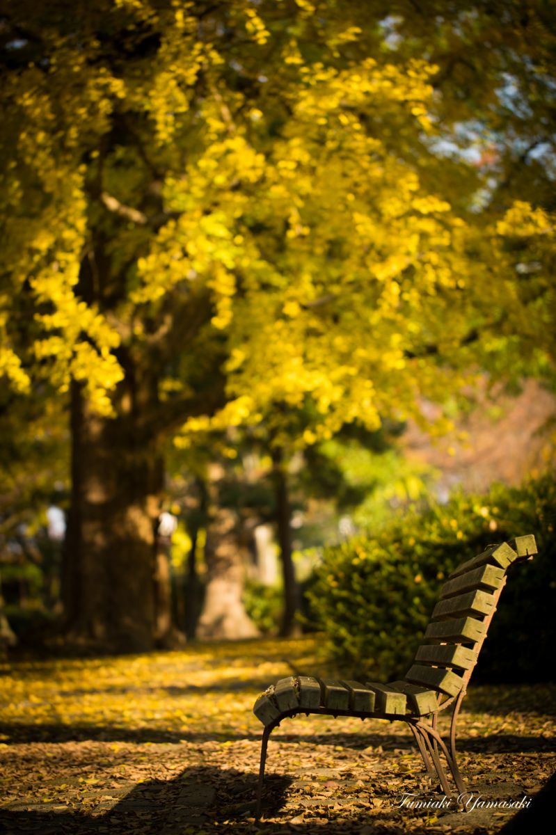 心地よい空間 | GANREF