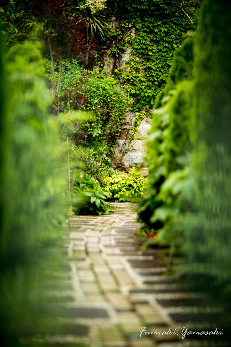 秘密の通路 | GANREF