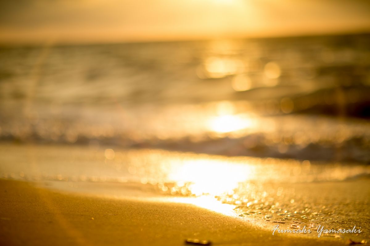 Golden Okinawa | GANREF