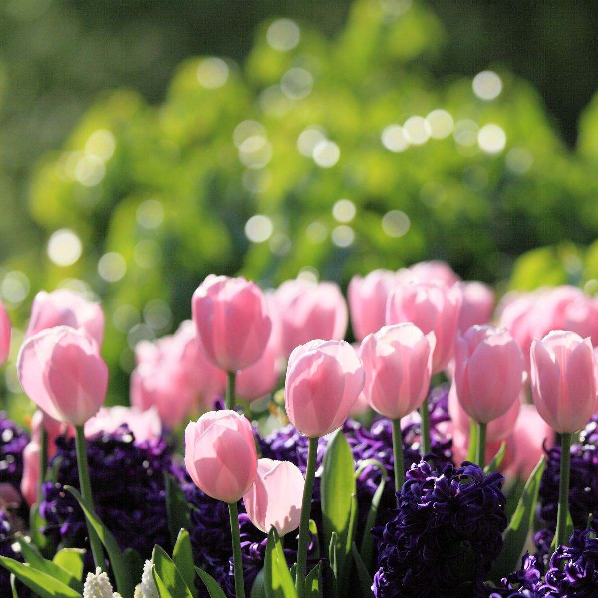 Have a good day! | GANREF