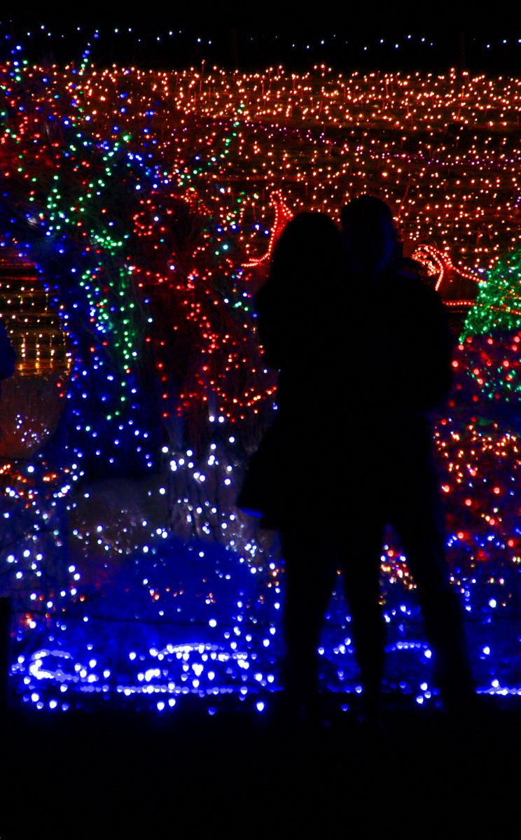 Lovers Christmas | GANREF